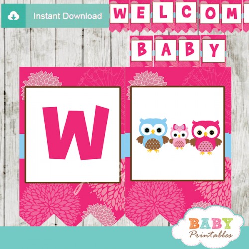 Hot Pink Owl Family Baby Shower Banner - D120 - Baby Printables